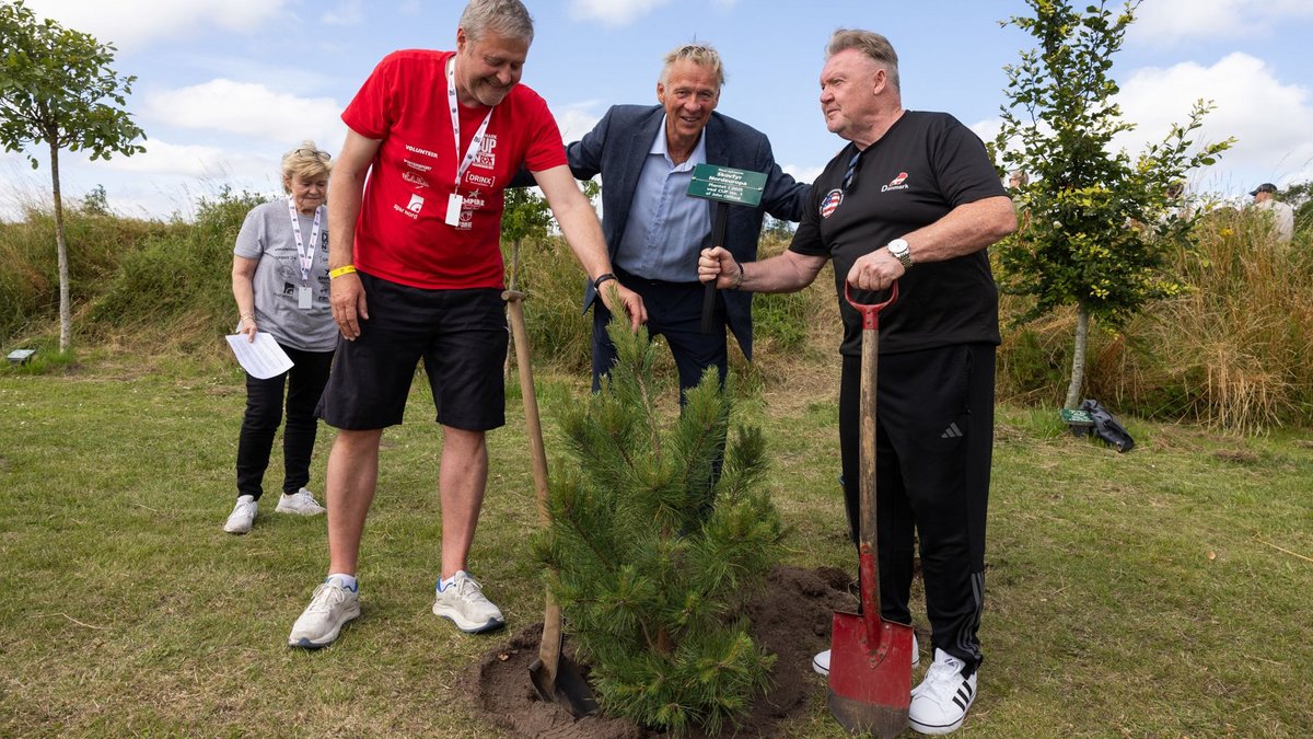 Cup No.1: Skotte plantede skovfyr i World Plantation på FfI's anlæg