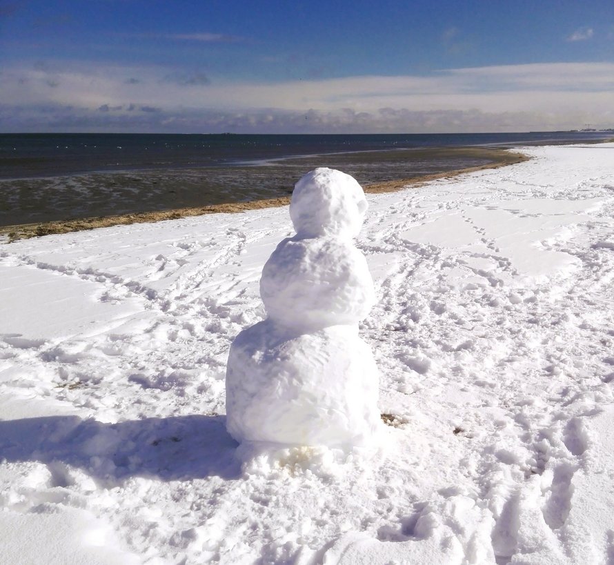 Snemand på forårsvisit på Bratten Strand