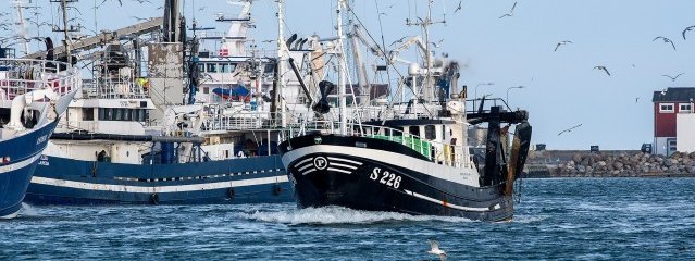 Der blev landet fisk for knap én milliard kroner