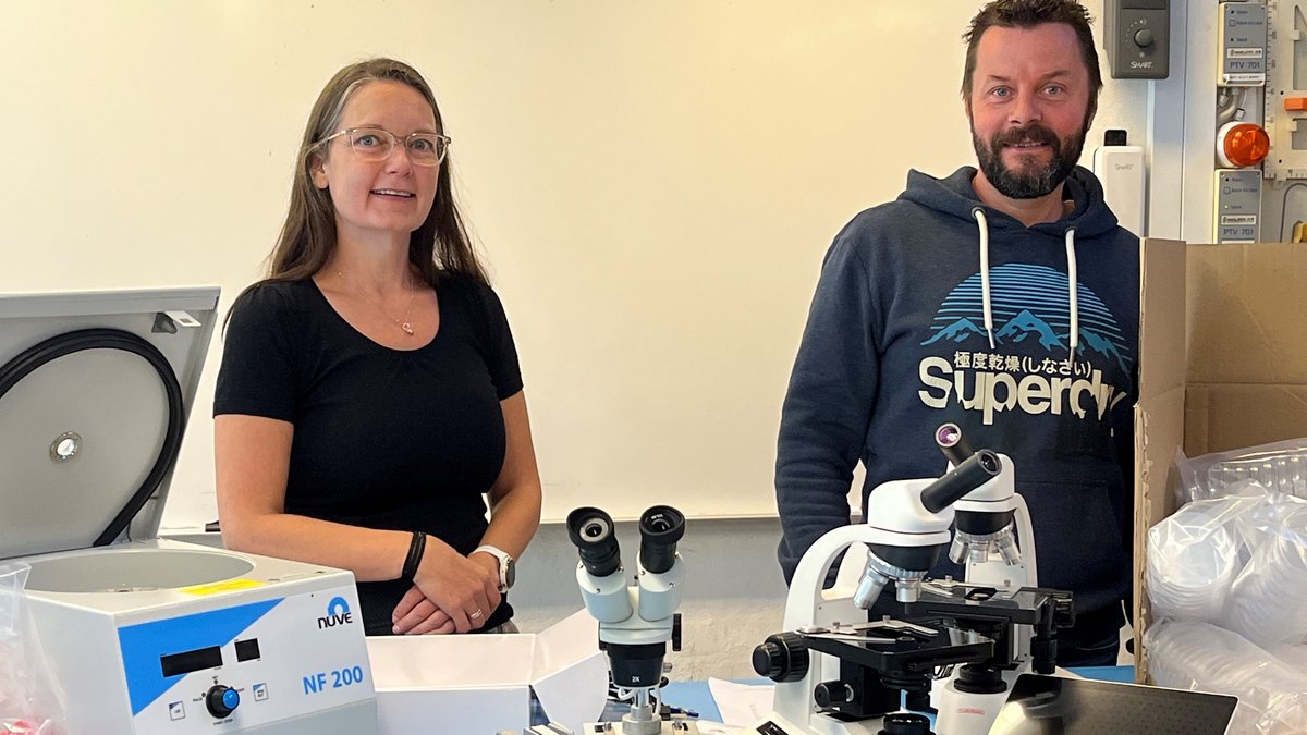 Pengeregn over Ravnshøj Skole til naturfag og morgensang