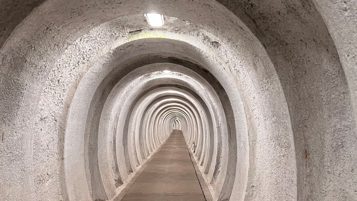 Regan Vest – Danmark dybeste hemmelighed