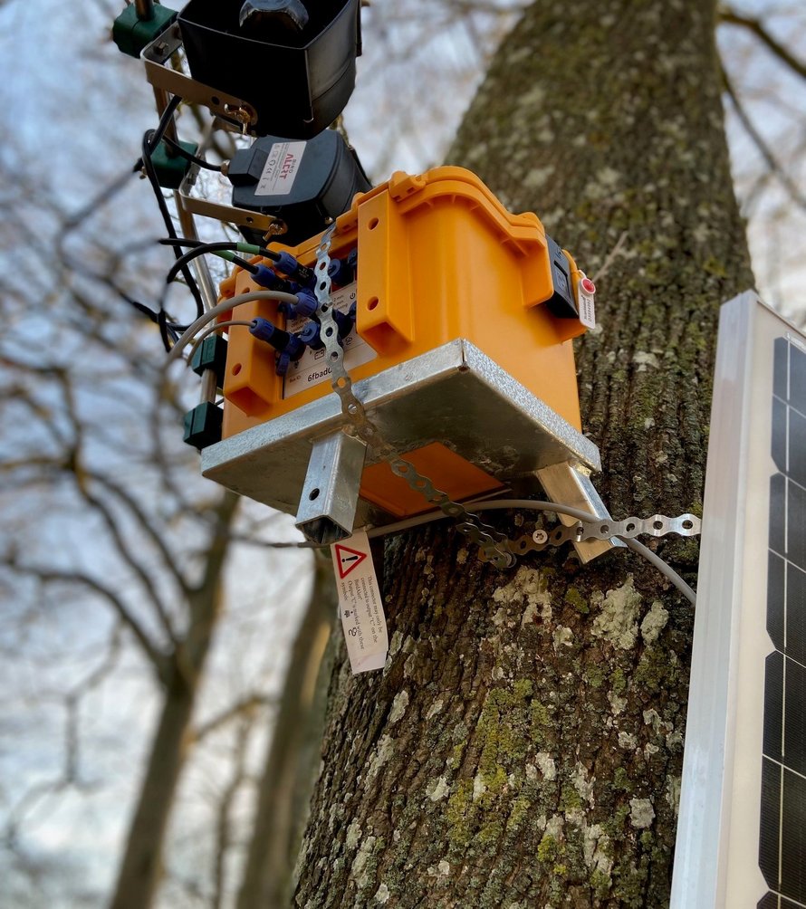Råger-robotter skal holde råger ude af Plantagen
