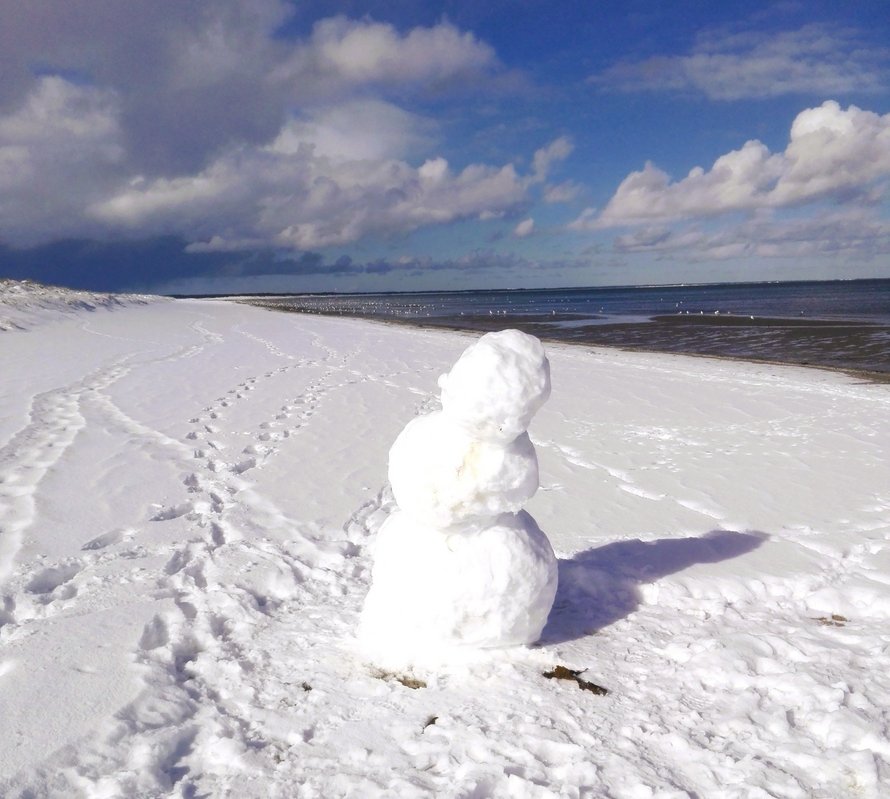 Snemand på forårsvisit på Bratten Strand