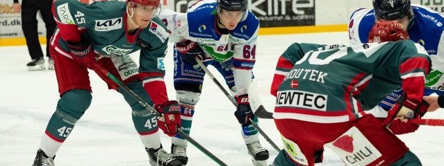 Høgene kæmpede bravt, men tabte til Odense Høgene kæmpede bravt, men tabte til Odense