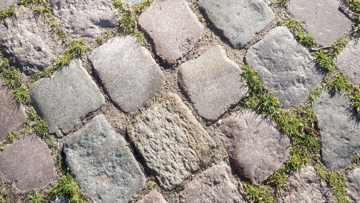 Det var ikke pesticiderne – og tak på ukrudtets vegne!