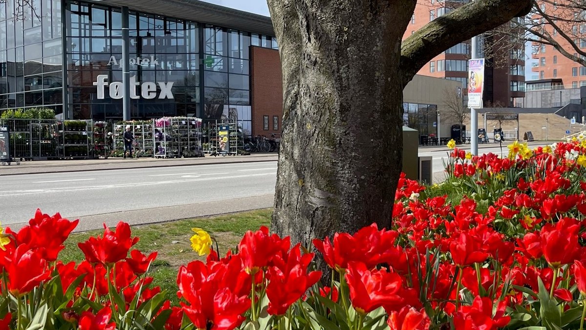 Lotto: Vinderen af 16 millioner kroner har endnu ikke meldt sig