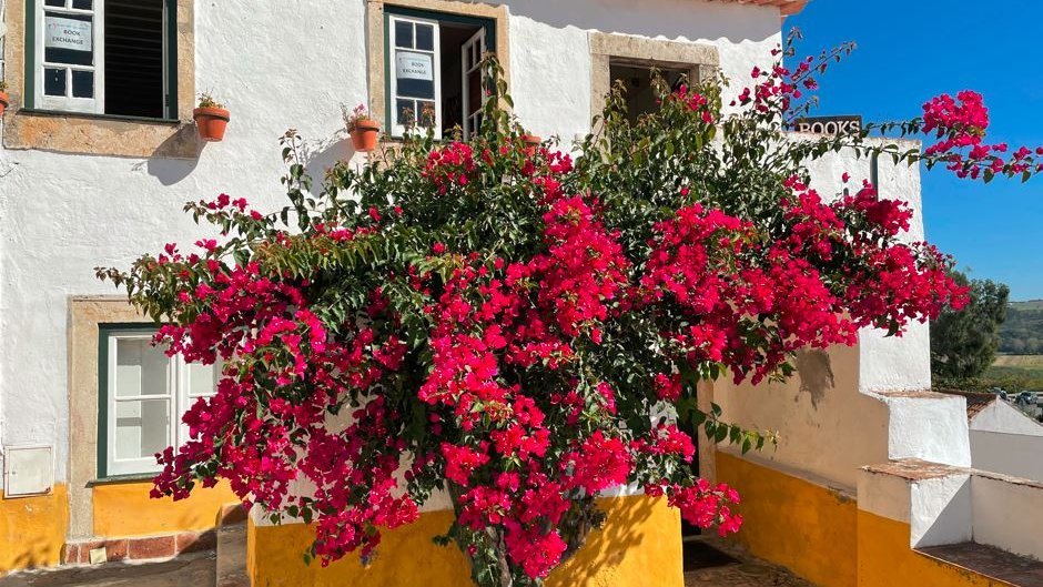 Hassan Torabi besøger Frederikshavn på søndag: Never give up hope